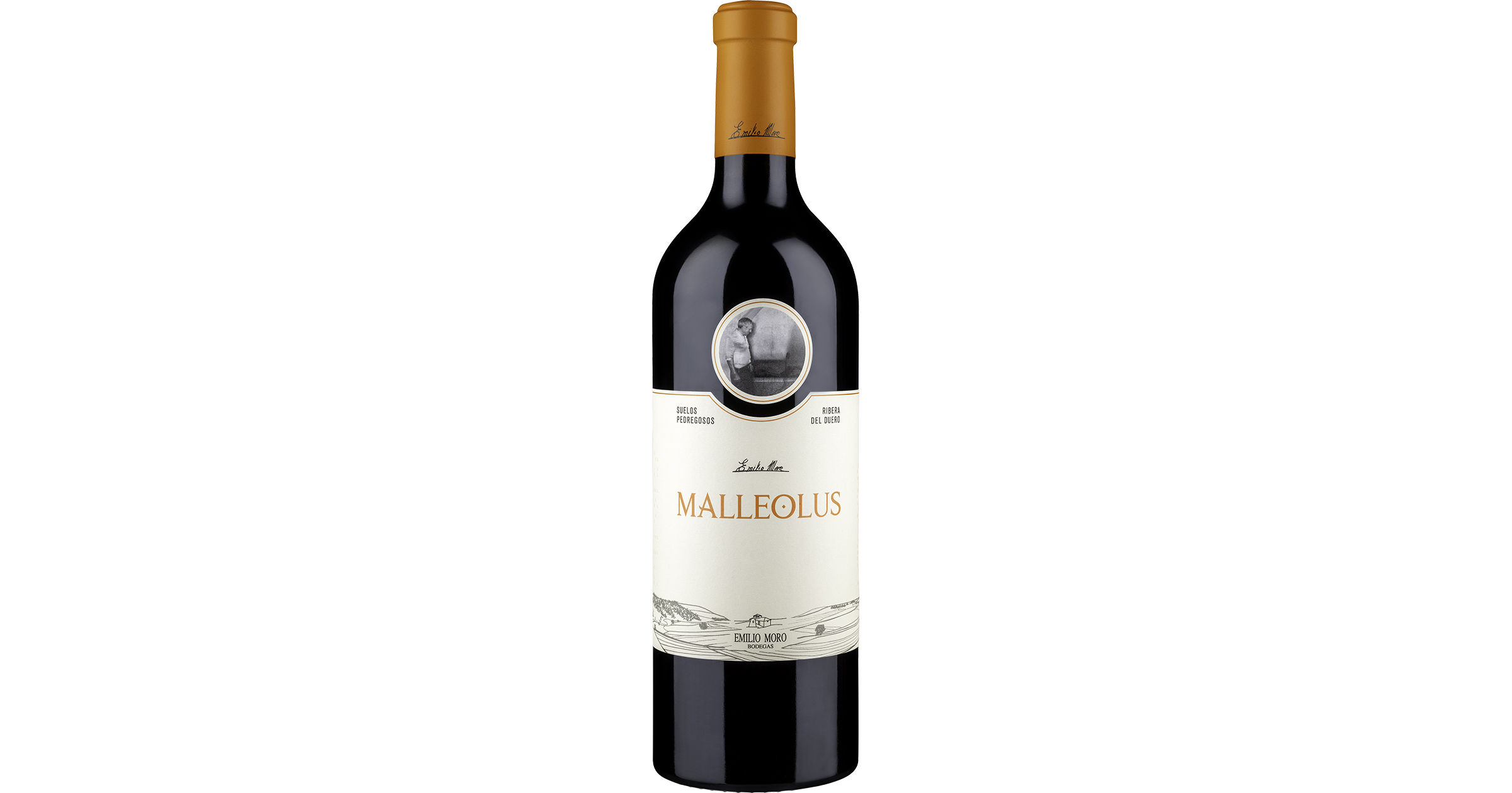 Malleolus 5L | Viña Española